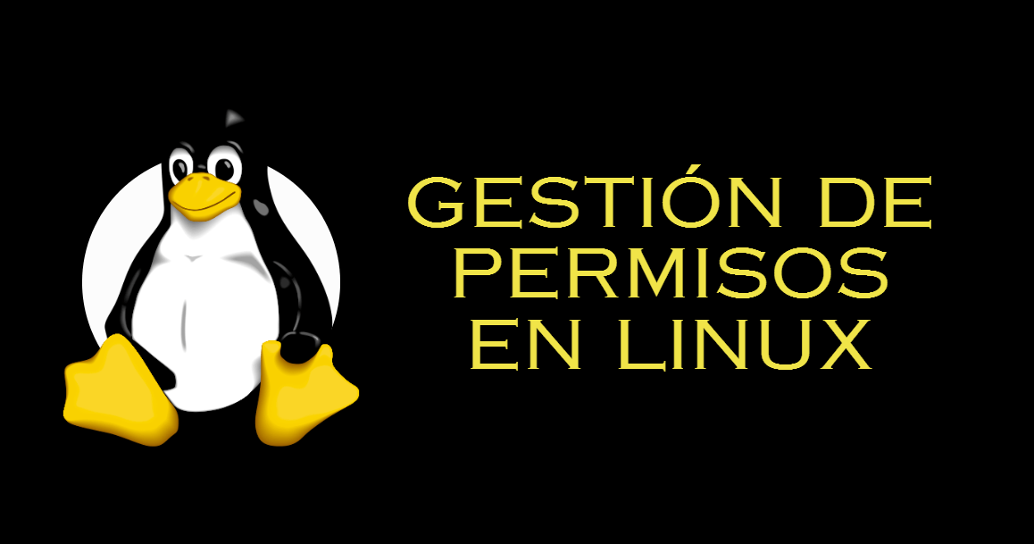Permisos en Linux: Guía completa de todo lo que necesitas saber - Código OnClick